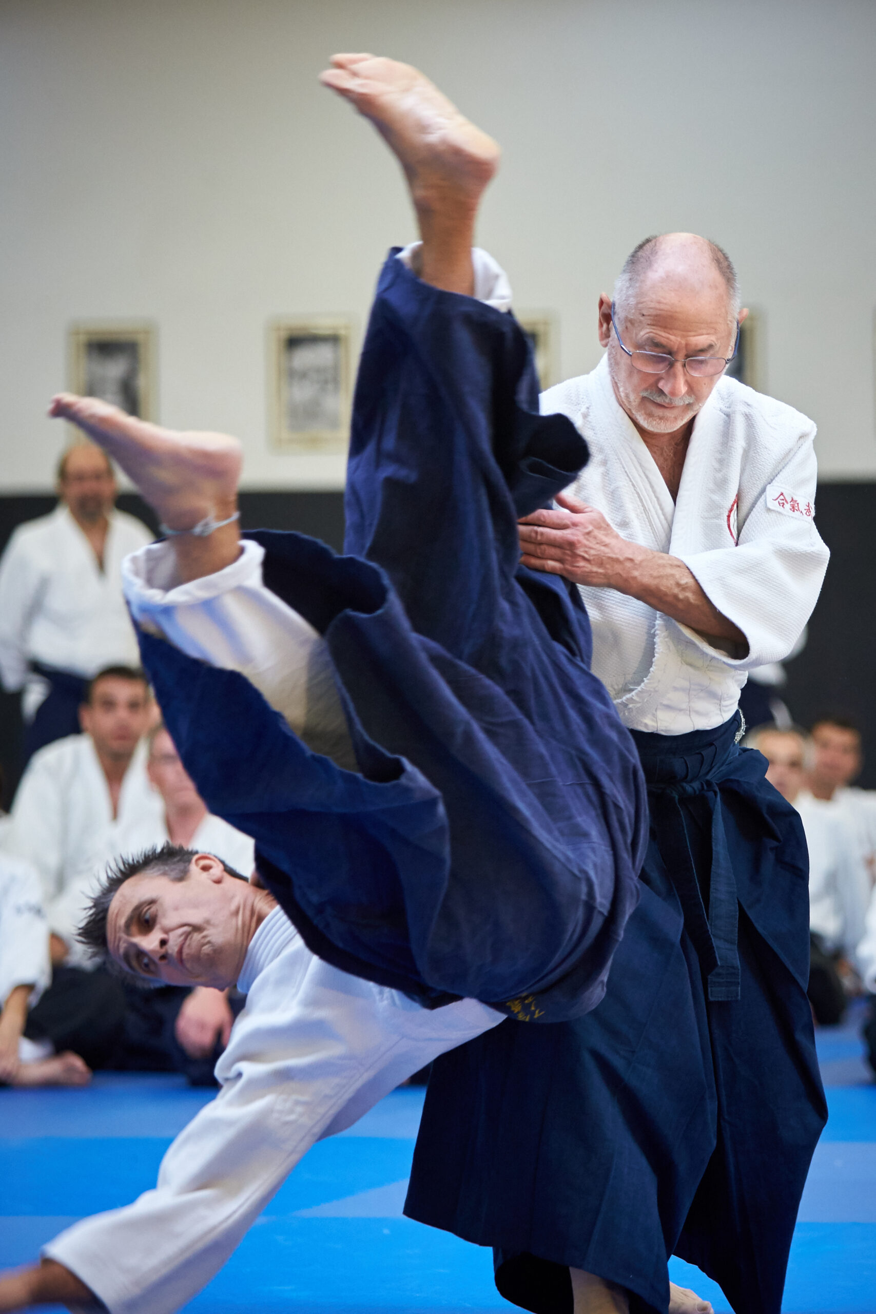 Aikibudo – FIAB AIKIBUDO – INTERNATIONAL